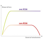 BCAA 4.1.1 - BCAA récupération en poudre, Complexe d’acides aminés ...